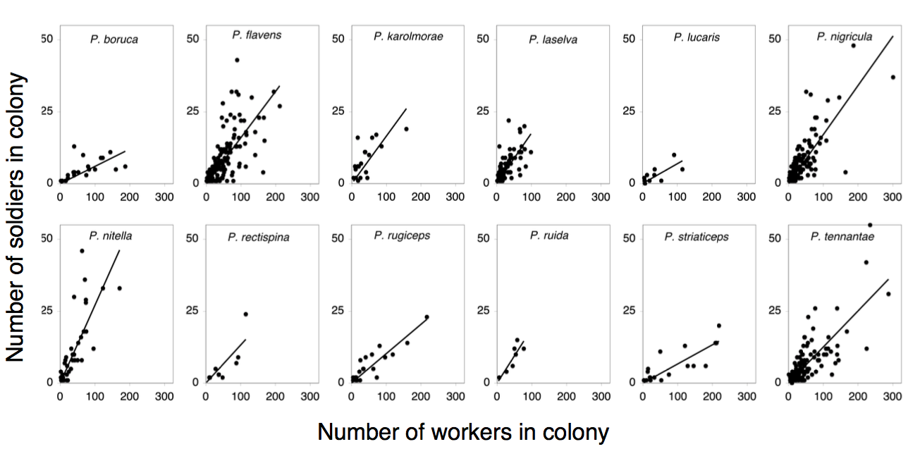 Starting experiments with a “nut fig” | Small Pond Science